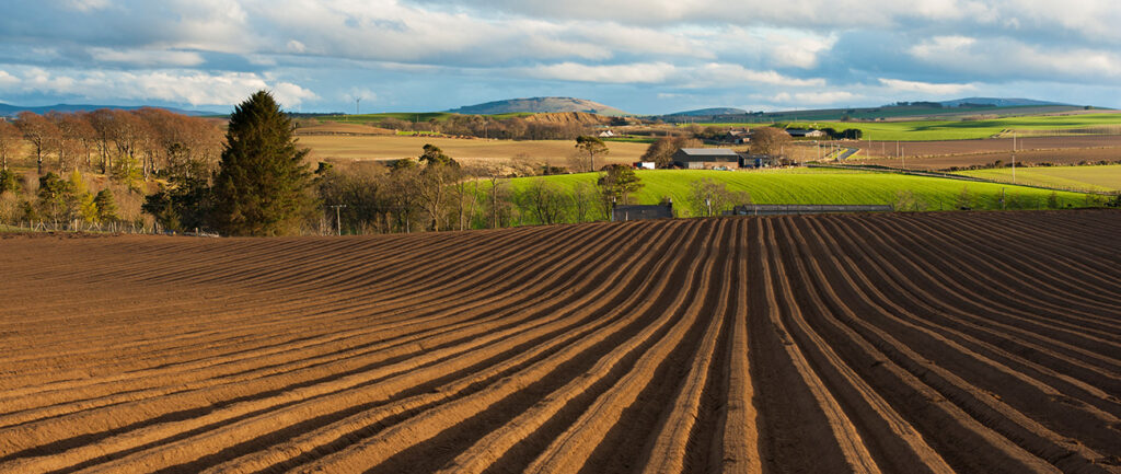 Indispensable Materials Series Part 4: Fertilizer’s Vital Role in ...