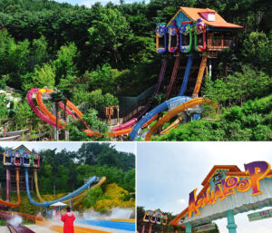 The Physics of Water Slides: The Science Behind the Thrill - Samsung C ...