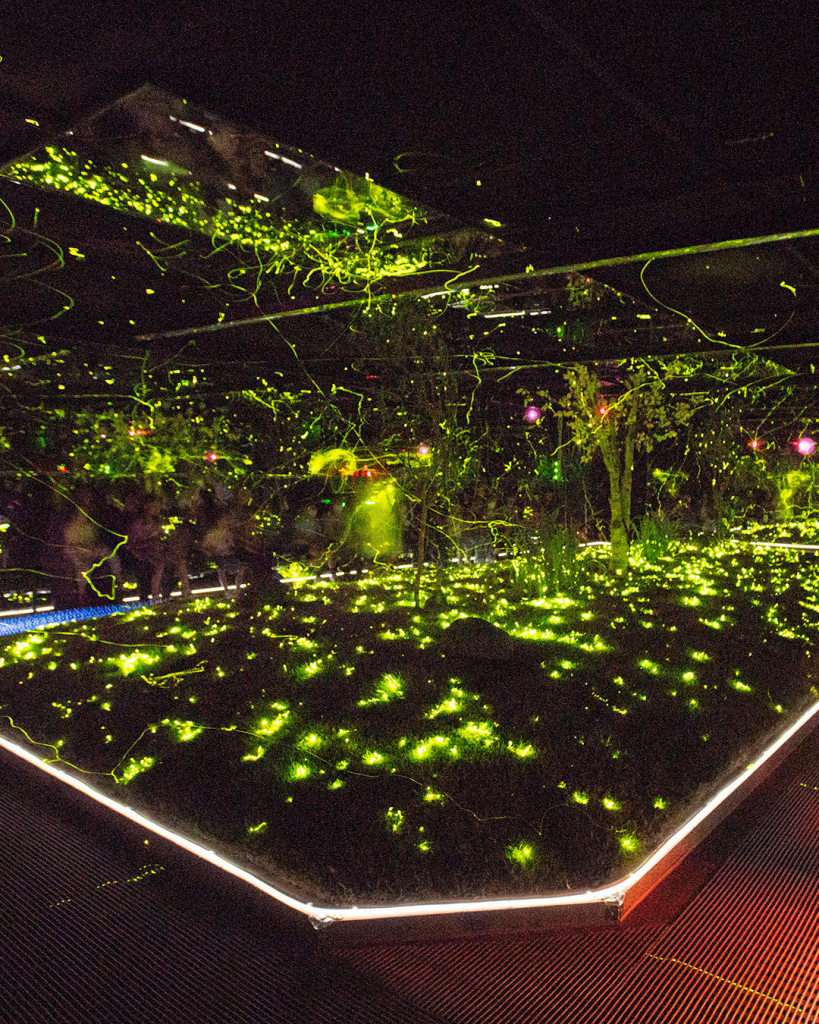 Let your light shine, o firefly! - Samsung C&T Newsroom