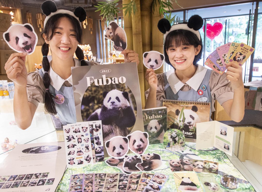 Pandering to panda fans - Samsung C&T Newsroom