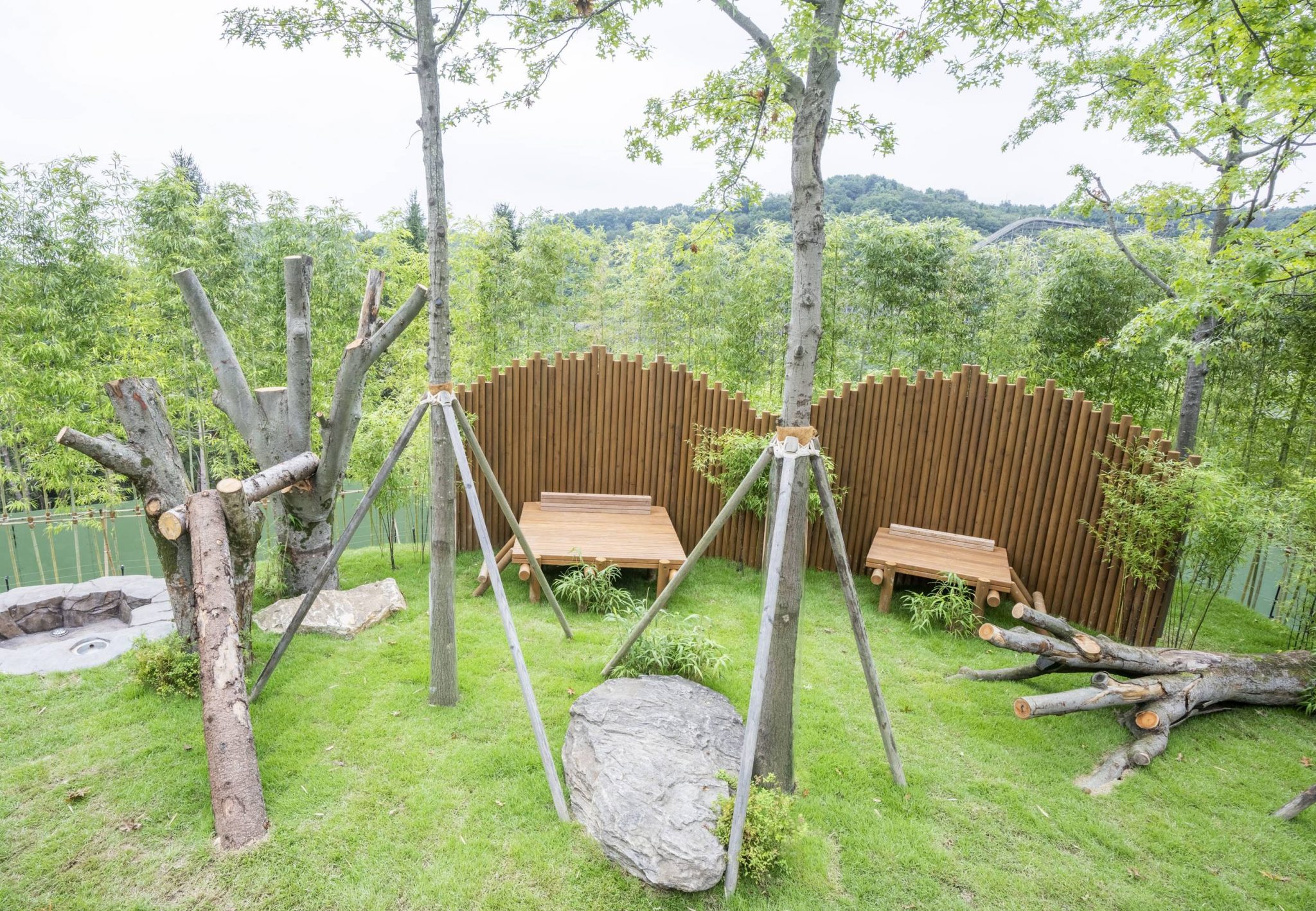 Twin Pandas Rui Bao and Hui Bao Move Into Everland’s New Panda Second ...