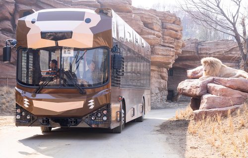 A Wilder Spring Begins at Everland with New Safari World, Fireworks ...